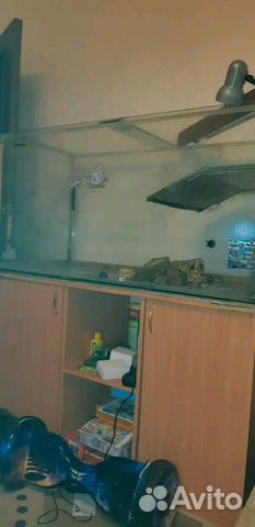 Аквариум с тумбой,фильтром и всем необходимым для