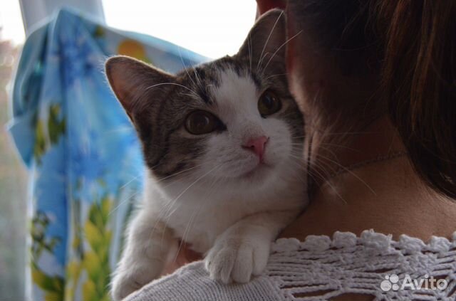 Нежнейшая Мусенька в добрые руки