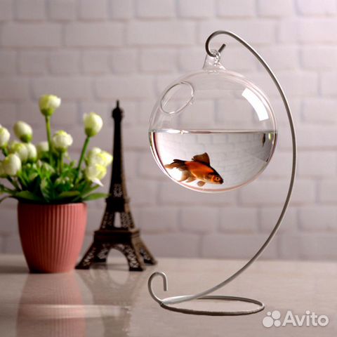 Аквариум для петушков