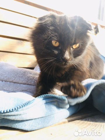 Брат и Сестра