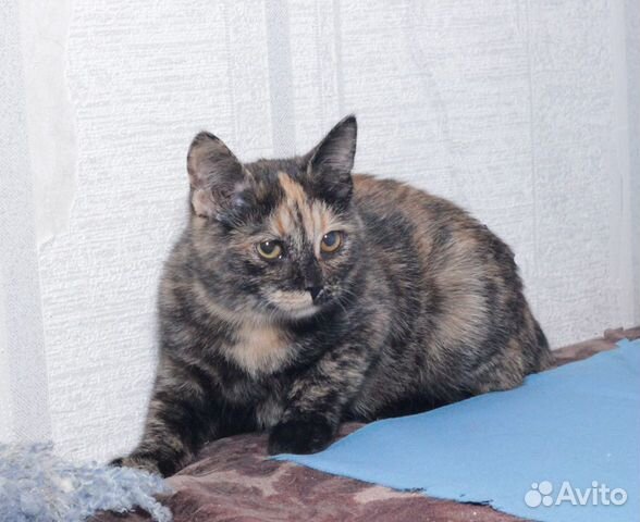 Ясмина, 4 мес. Плюшка-ласкушка