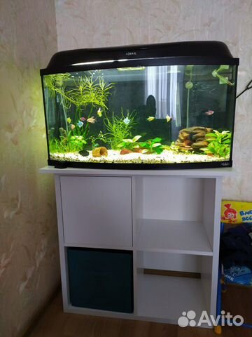 Аквариум aquael 105л