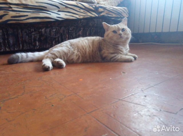 Ищу спутницц