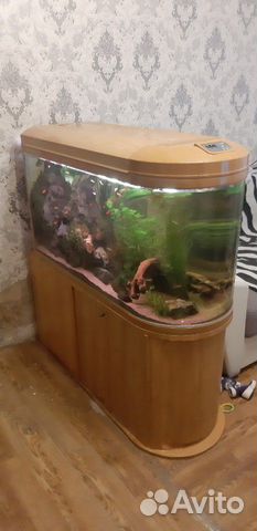 Аквариум 288л