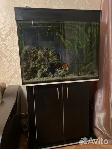 Аквариум