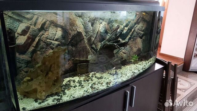 Польский панорамный аквариум 240 л