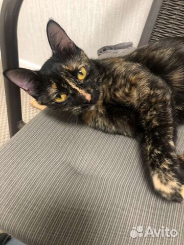 Венеция очень ласковая