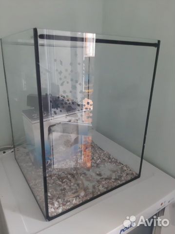 Продажа аквариума