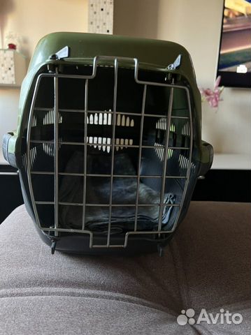 Переноска для кошек пластиковая