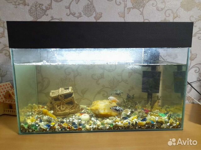 Аквариум 60л с рыбками и всеми принадлежностями