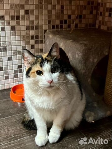 Красавица девочка Люся 4 года