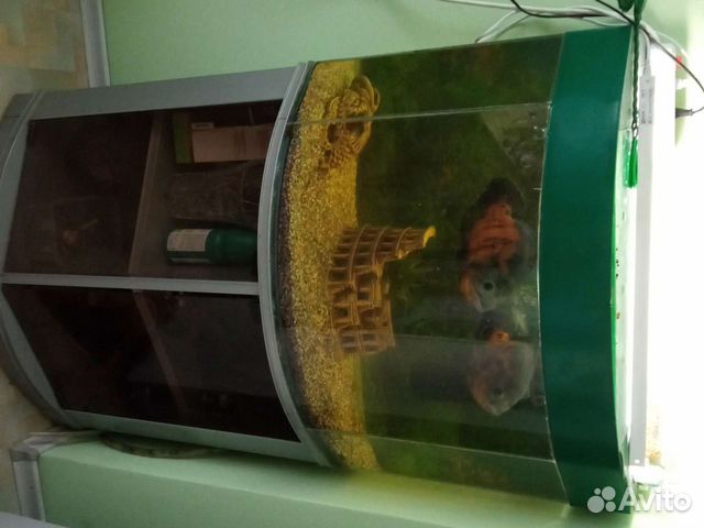 Аквариум