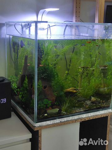 Аквариум кубик 125 л