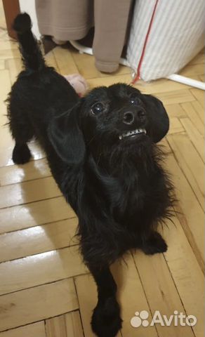 Вязка шикарный парень