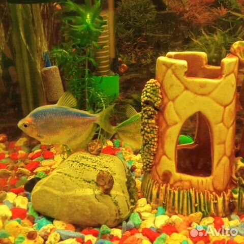 Аквариум Jebo полностью оборудованный