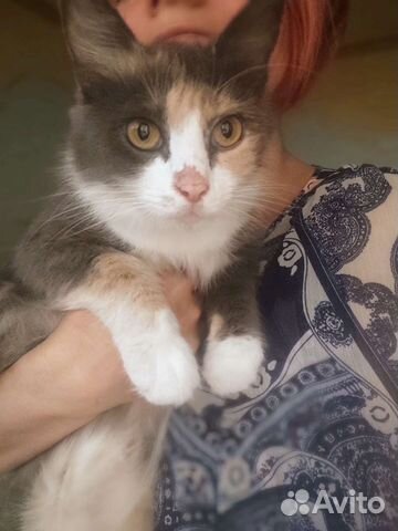 Киса-талисман