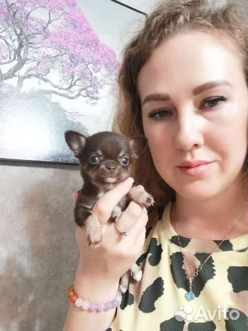 Шоколадка мини