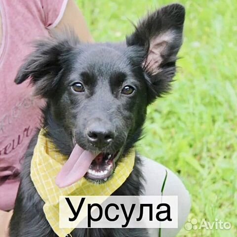 Урсула, солнечный мультяшный персонаж