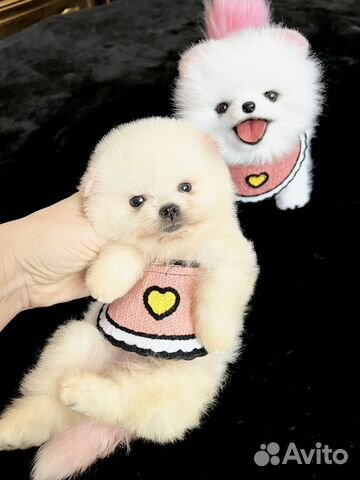 Красотка с розовыми ушками и хвостиком