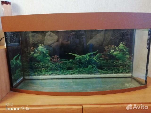 Украшение для аквариума