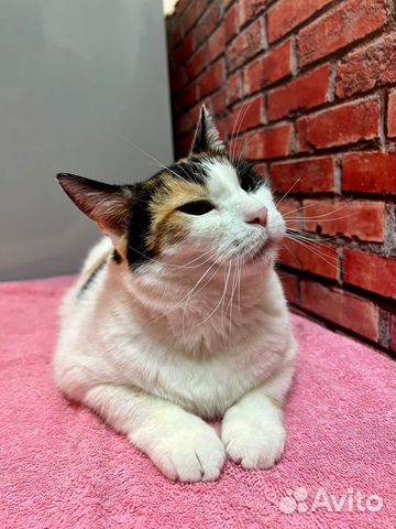 Очаровательная Люсечка 4 года