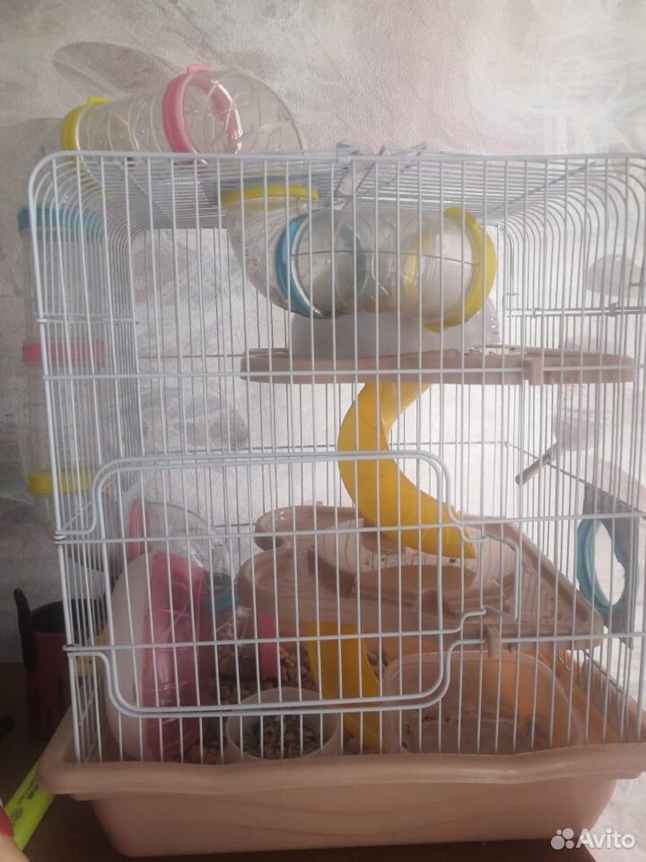 Джунгарский хомячок с клеткой