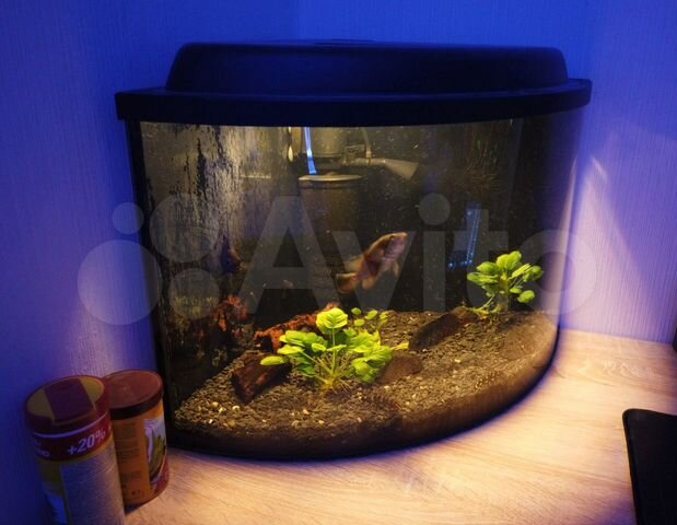 Аквариум угловой 40л